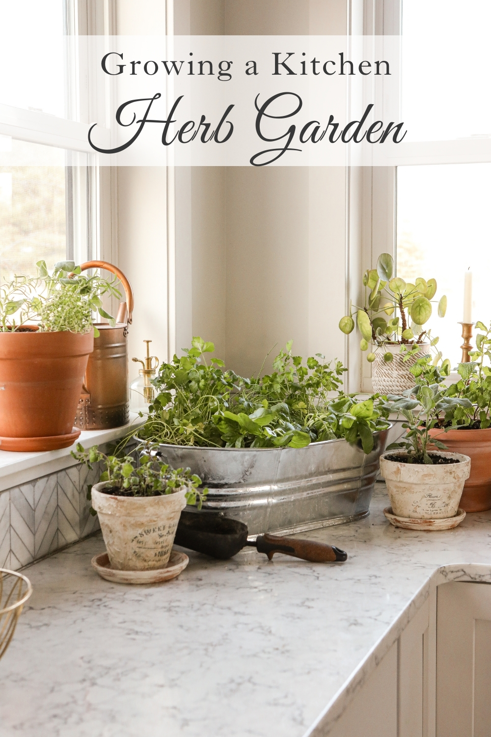 How to Plant an Indoor Kitchen Herb Garden