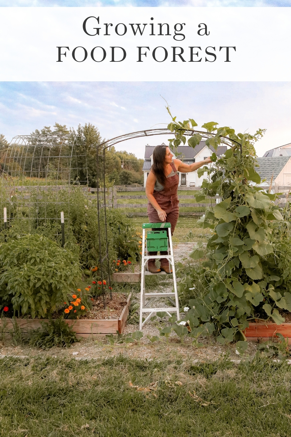 Growing a Food Forest