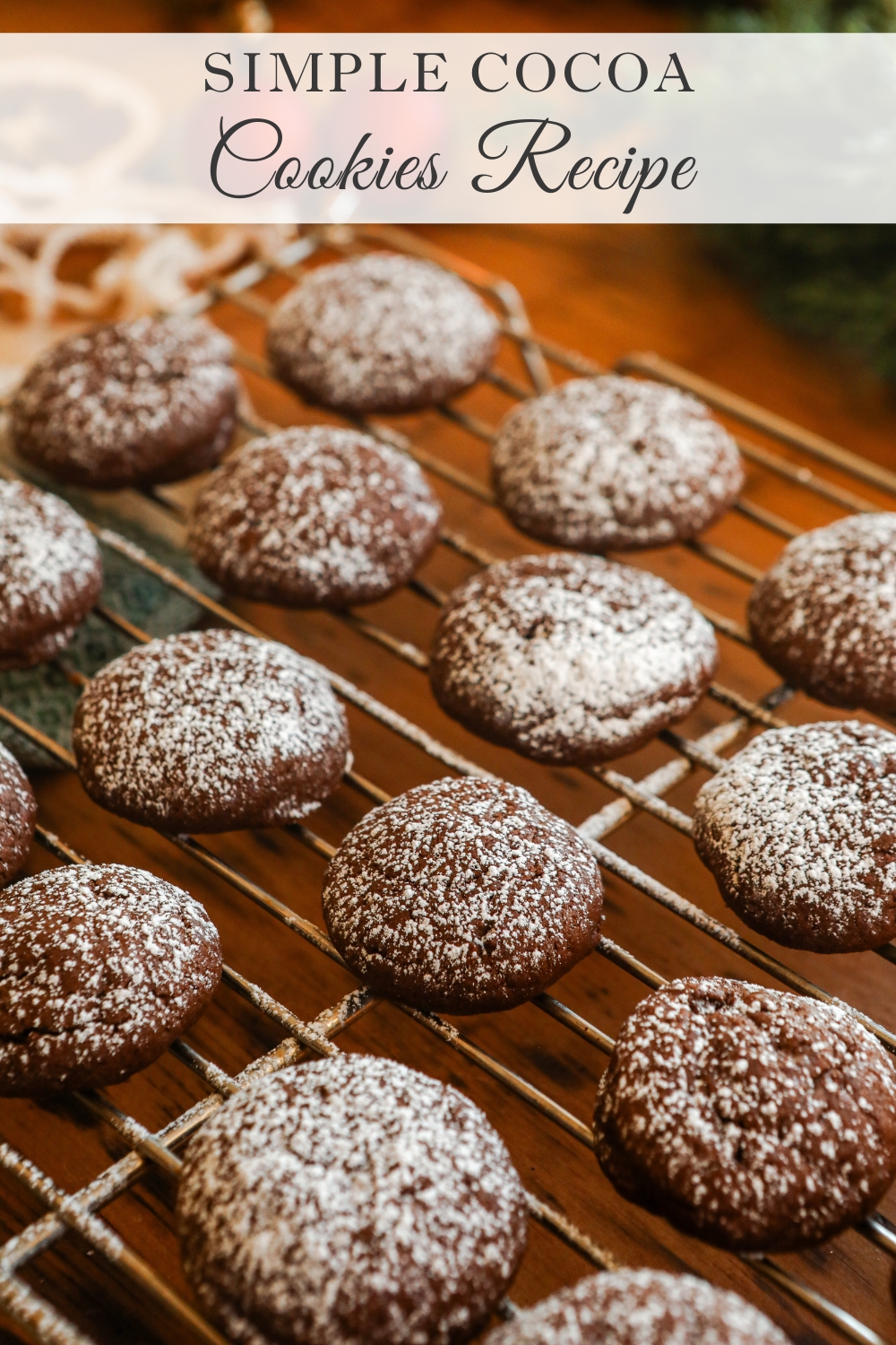 Cocoa Cookies Recipe
