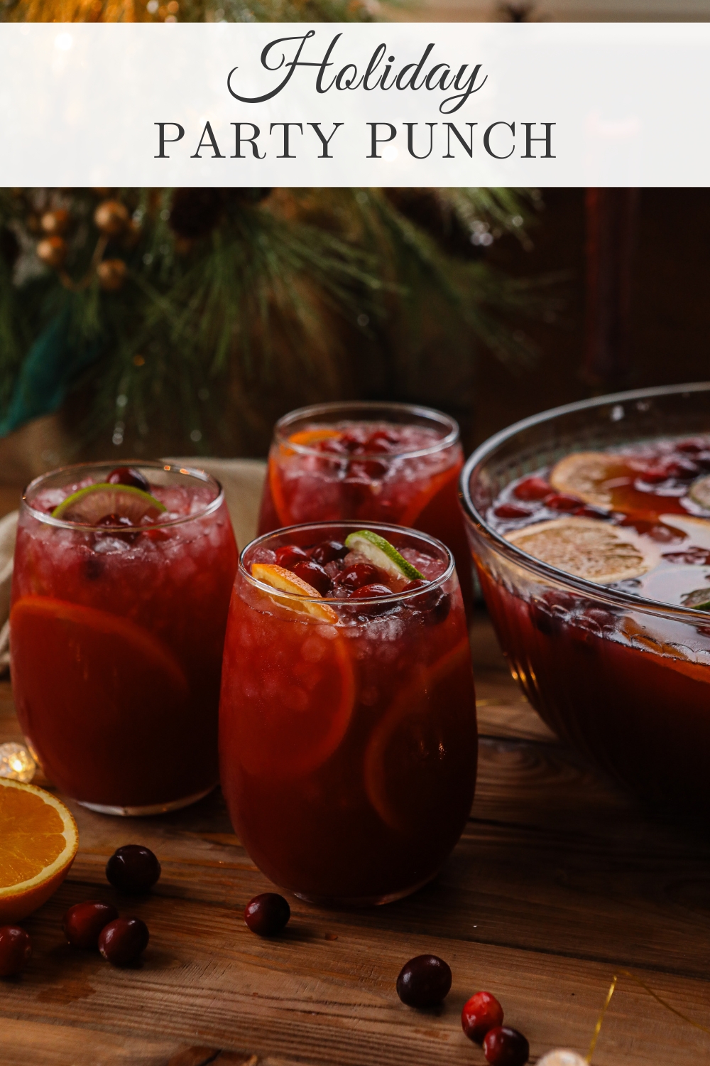 Holiday Party Punch