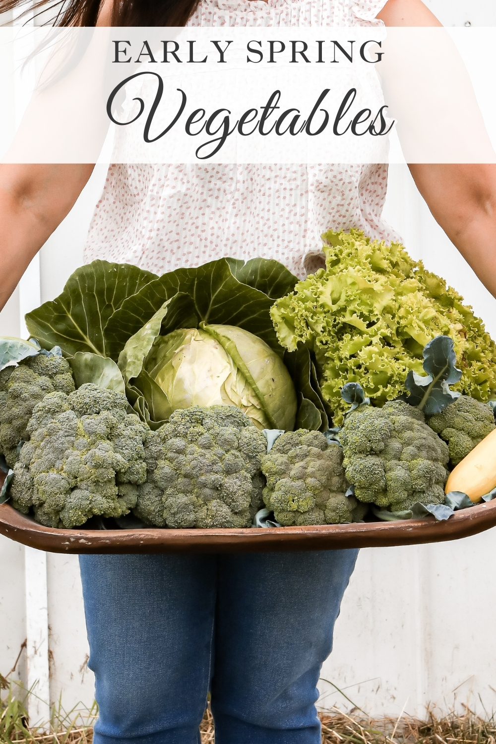 16 Early Spring Vegetables to Grow in the Garden