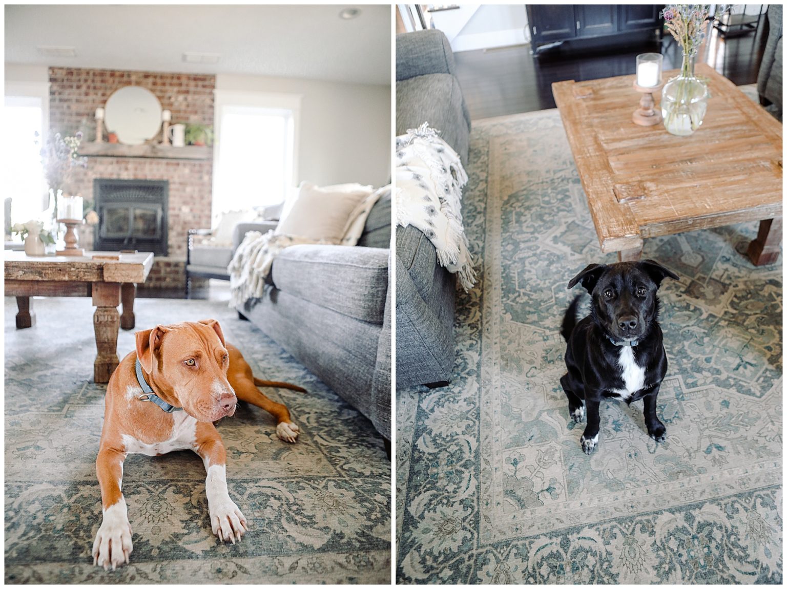 An honest Ruggable review - Sugar Maple Farmhouse