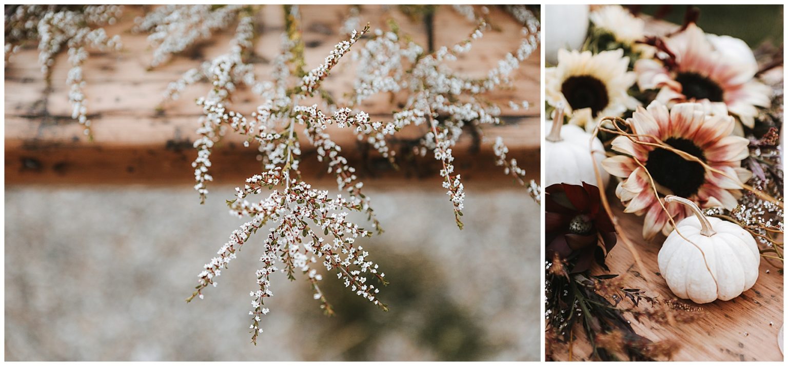 Creating a fall harvest tablescape with natural elements