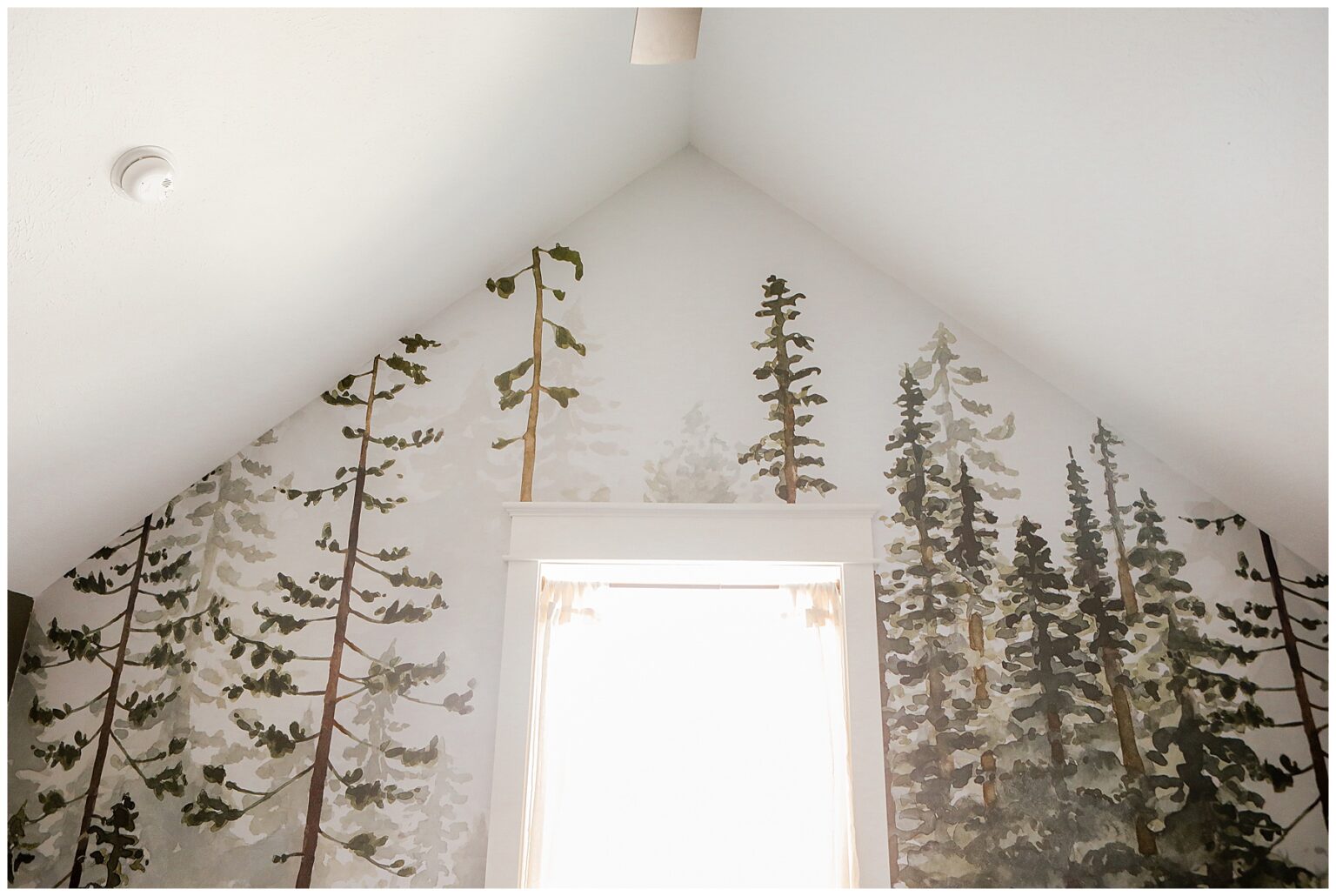 Peel and Stick Mural Wallpaper Tips