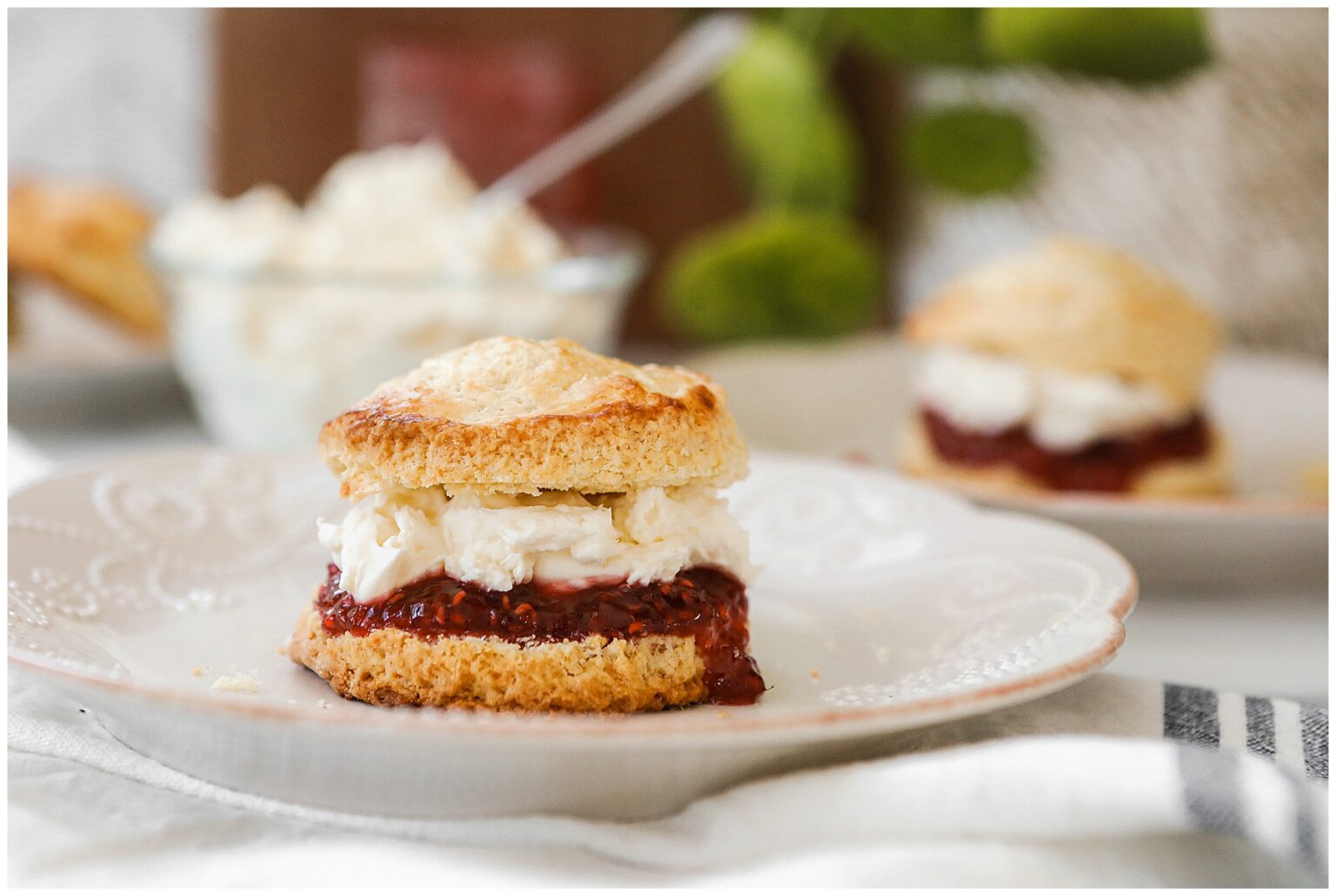 Traditional Irish Scones Recipe with Clotted Cream