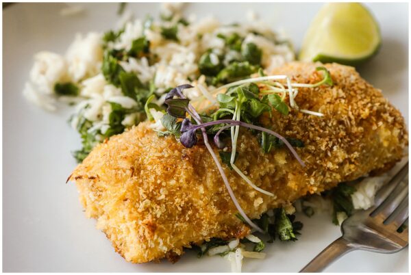 Coconut Crusted Mahi Mahi recipe - Sugar Maple Farmhouse