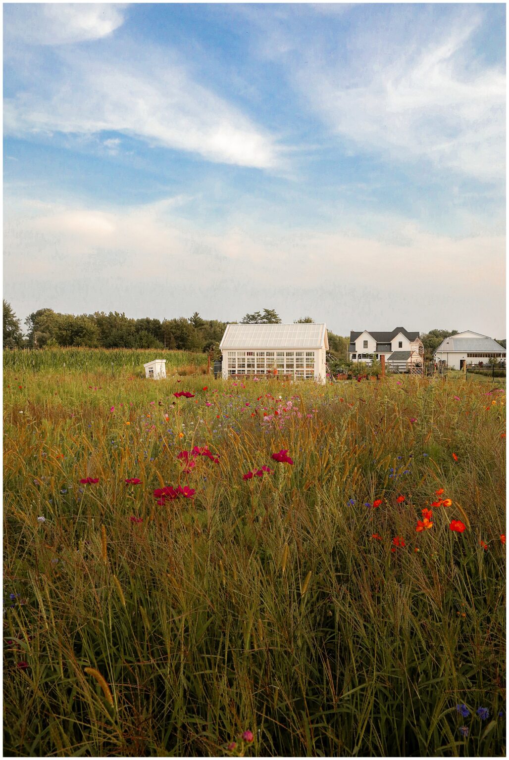 Planning a Native Wildflower Field - Sugar Maple Farmhouse