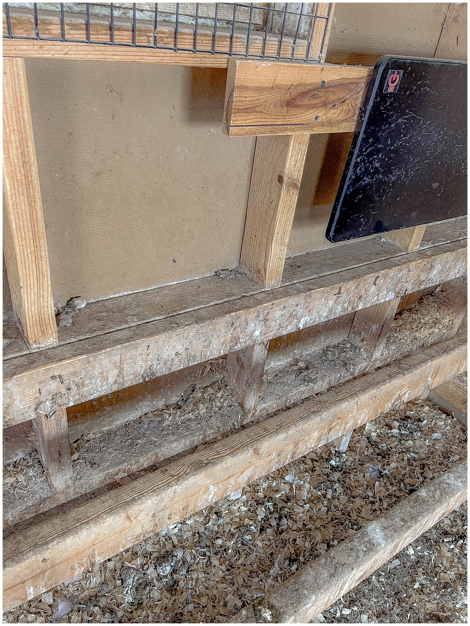 Chicken Coop Deep Litter Method - Sugar Maple Farmhouse