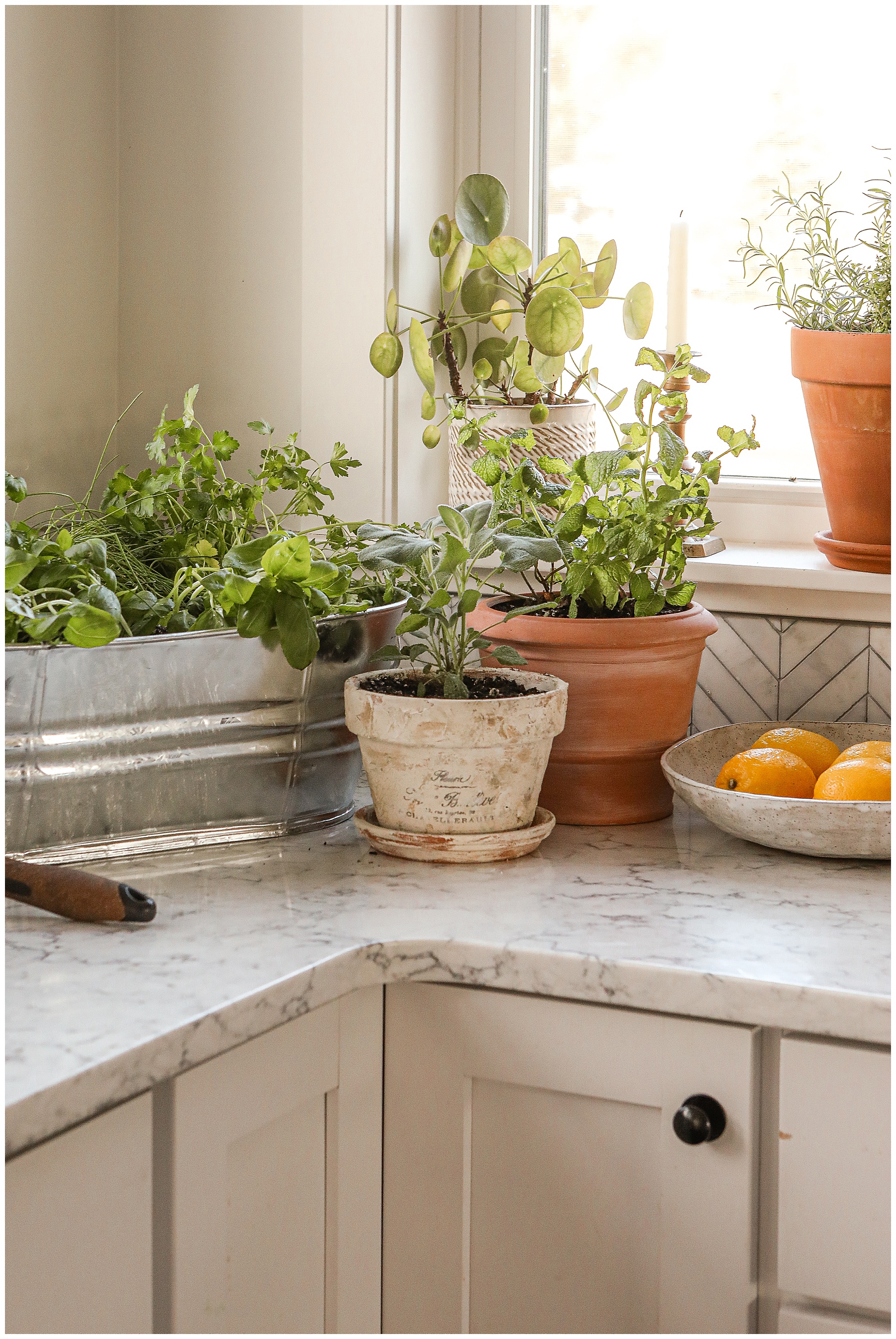 How to Plant an Indoor Kitchen Herb Garden