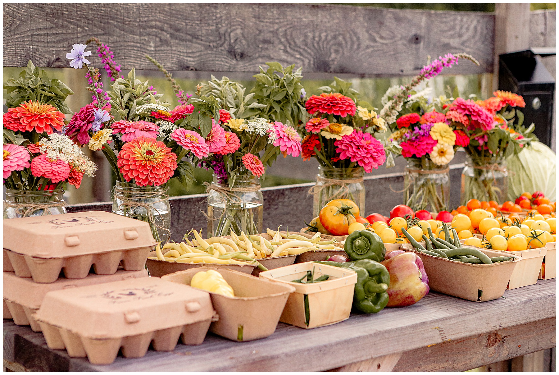 12 Cut and Come Again Flowers - Sugar Maple Farmhouse