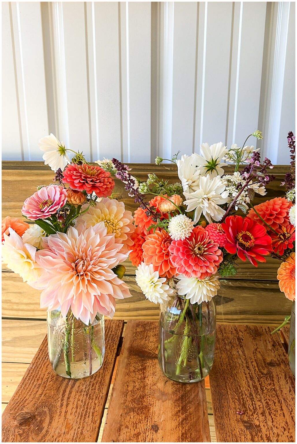12 Cut and Come Again Flowers - Sugar Maple Farmhouse