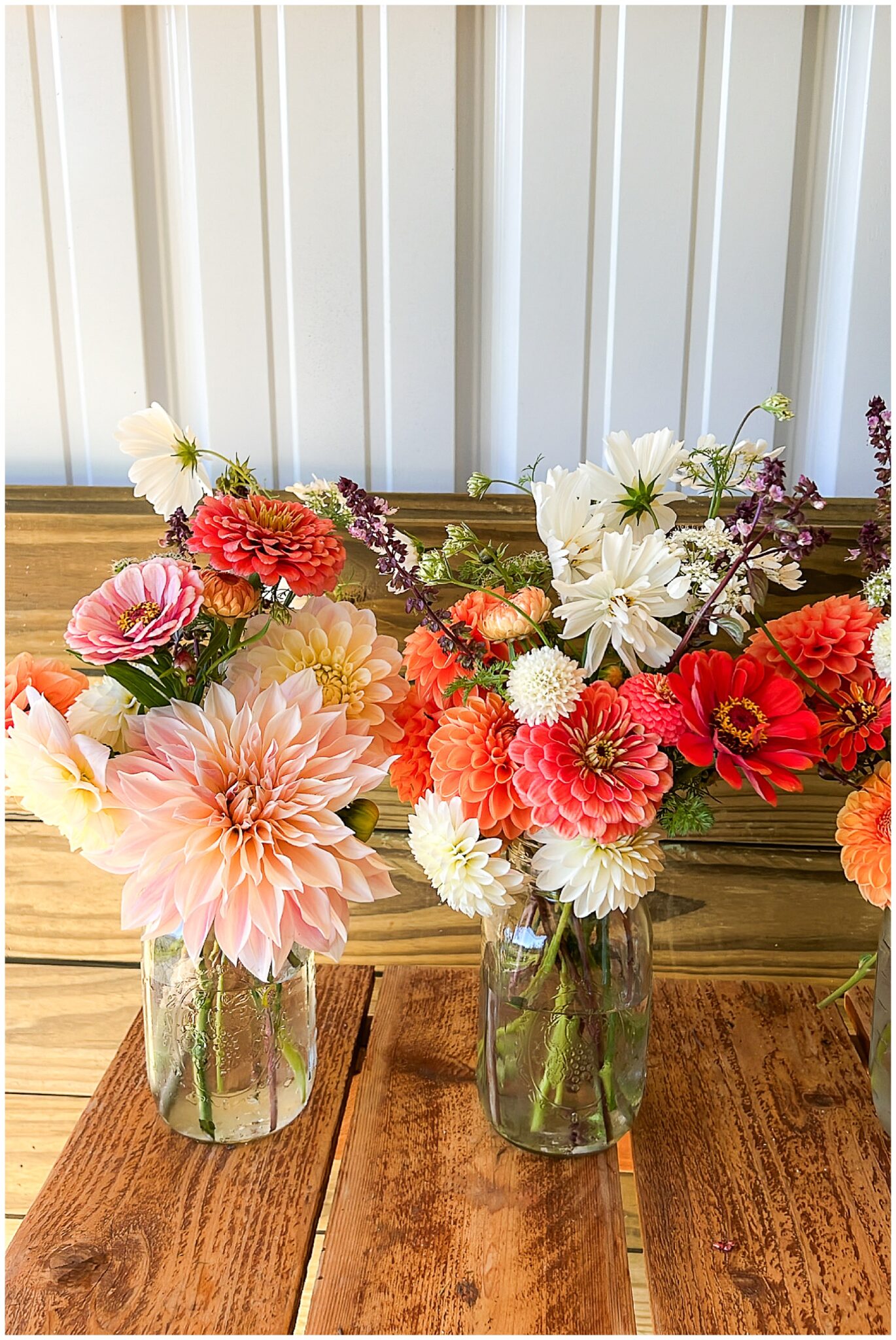 12 Cut and Come Again Flowers - Sugar Maple Farmhouse