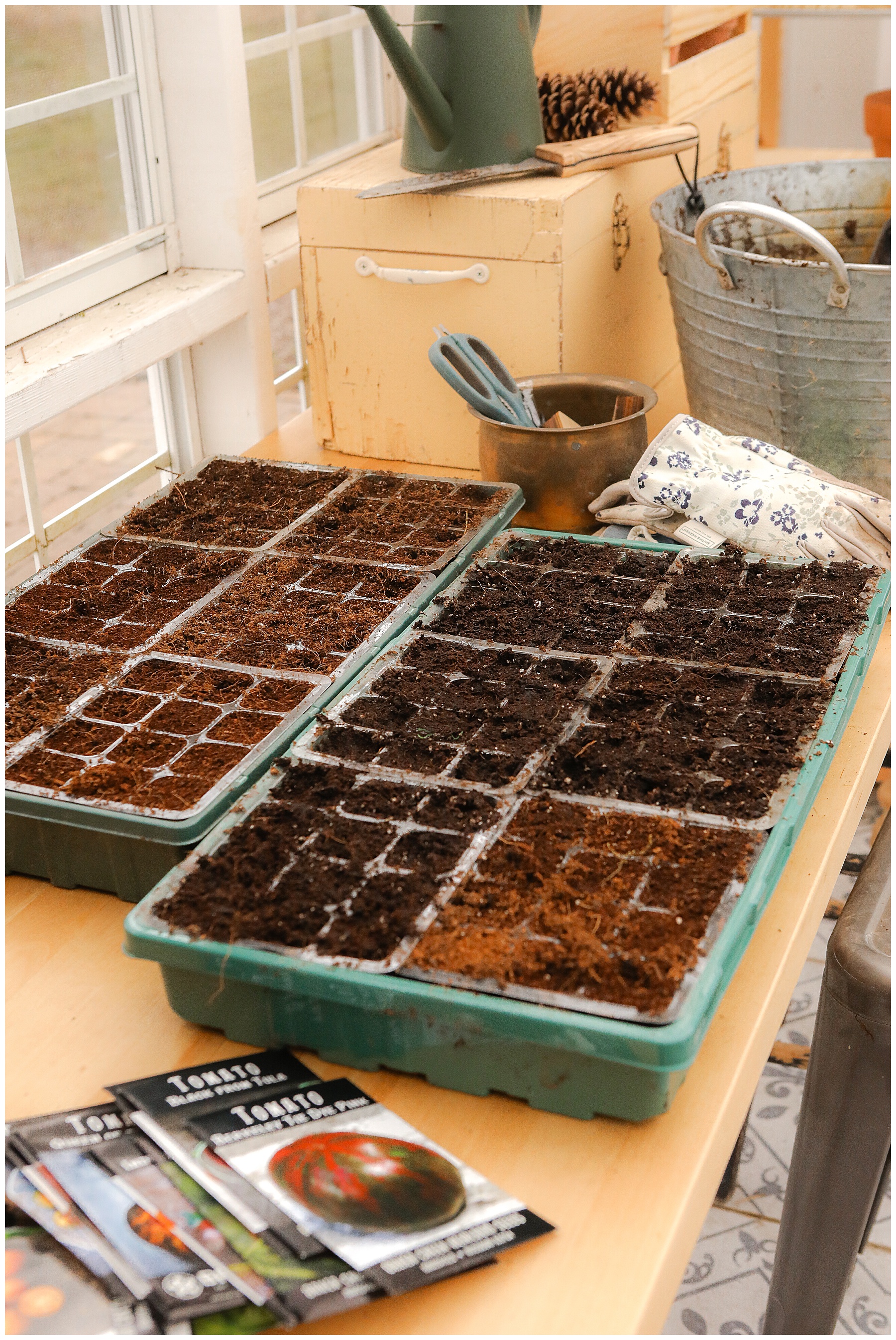 Tips for Starting Seeds Indoors - Sugar Maple Farmhouse