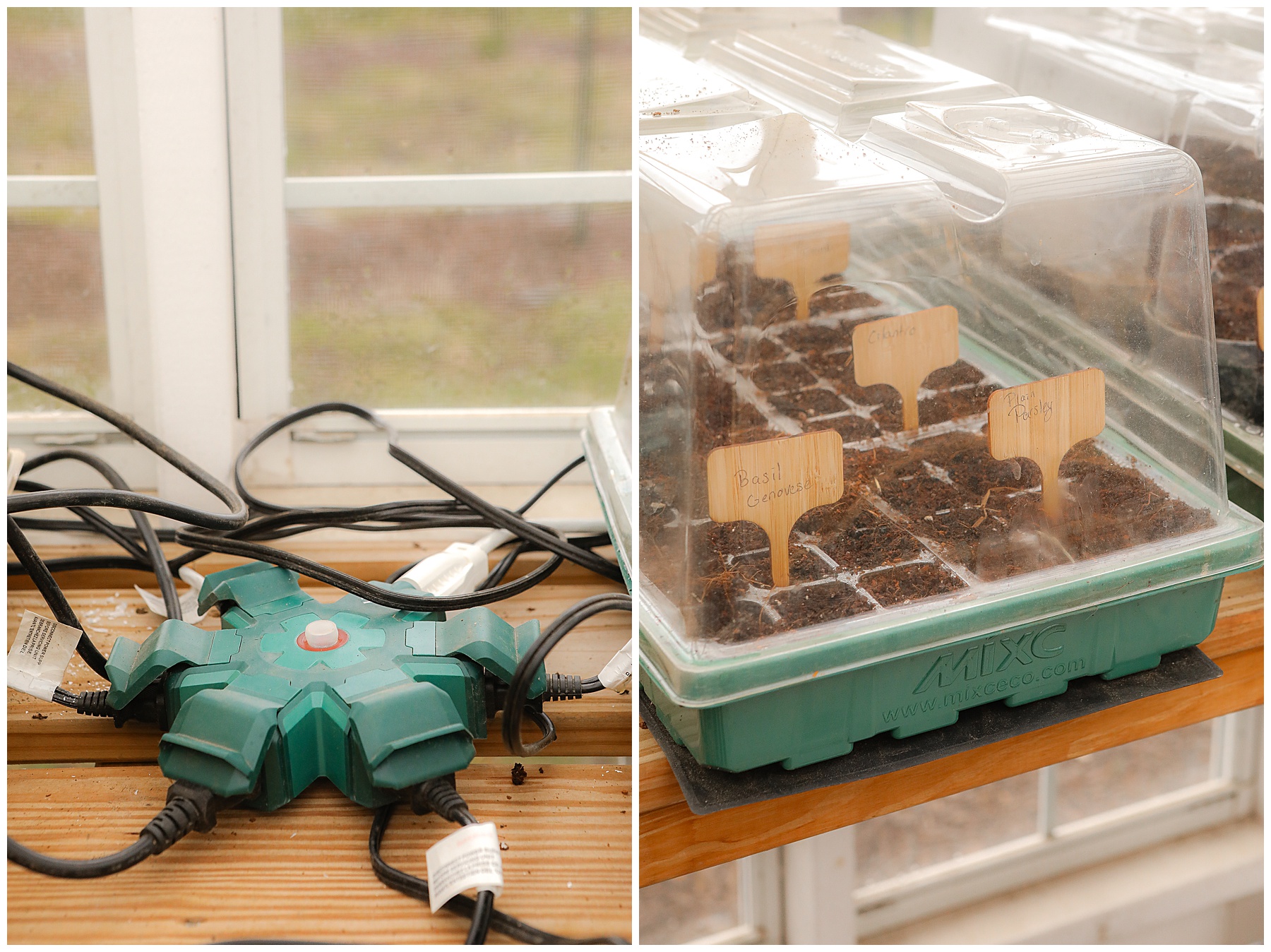 Tips for Starting Seeds Indoors - Sugar Maple Farmhouse