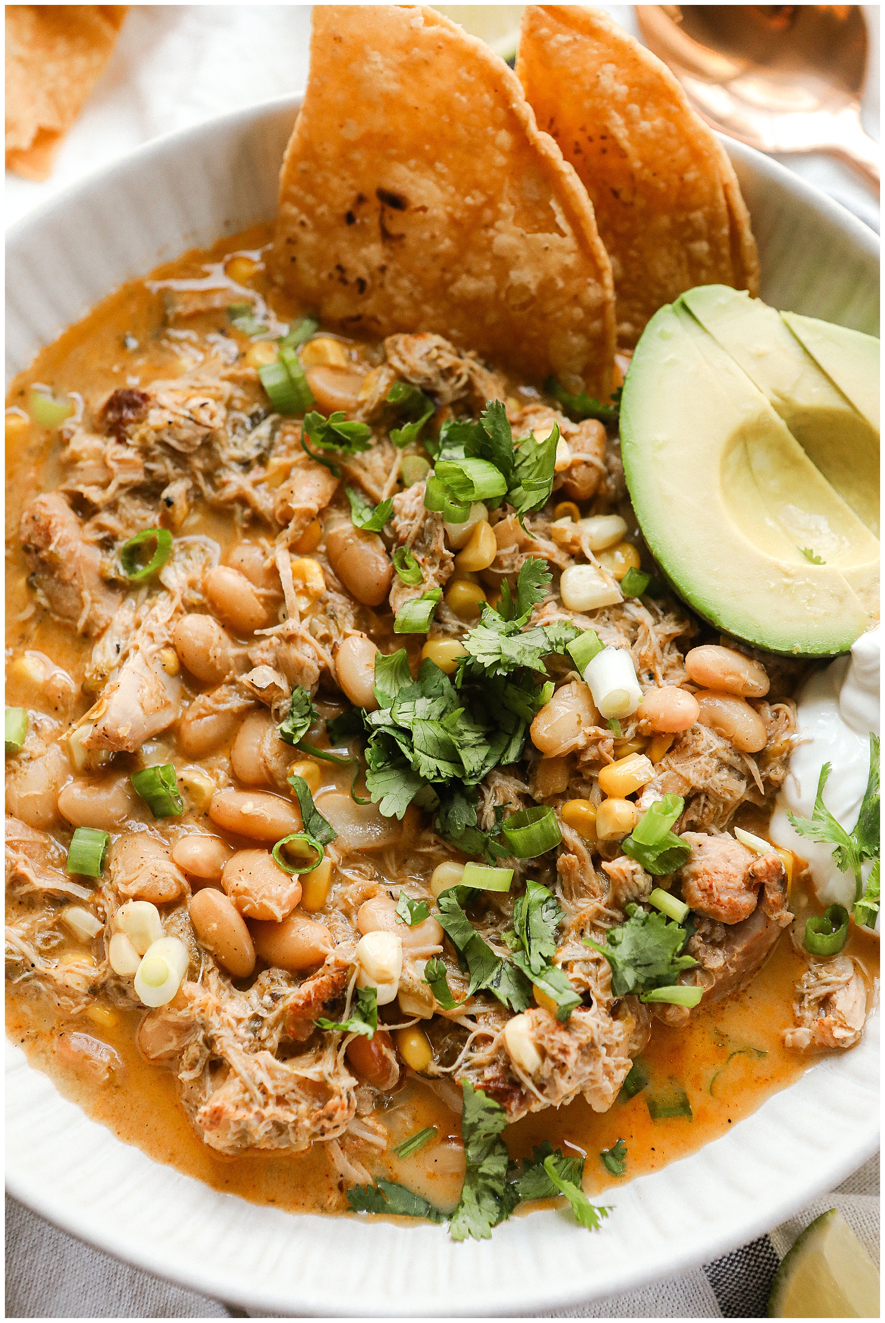 Creamy Poblano Chicken Chili Recipe