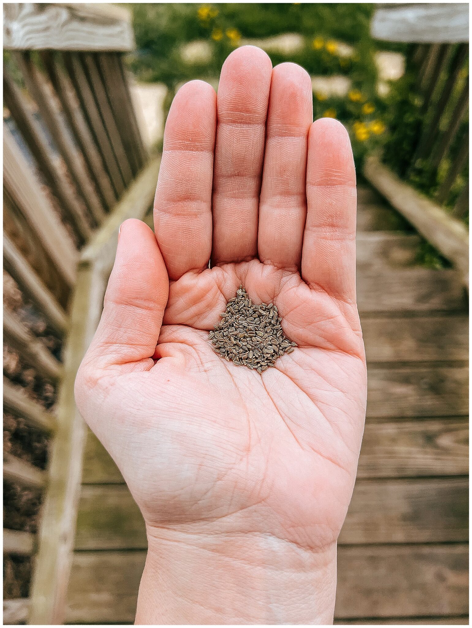 16 Early Spring Vegetables to Grow in the Garden