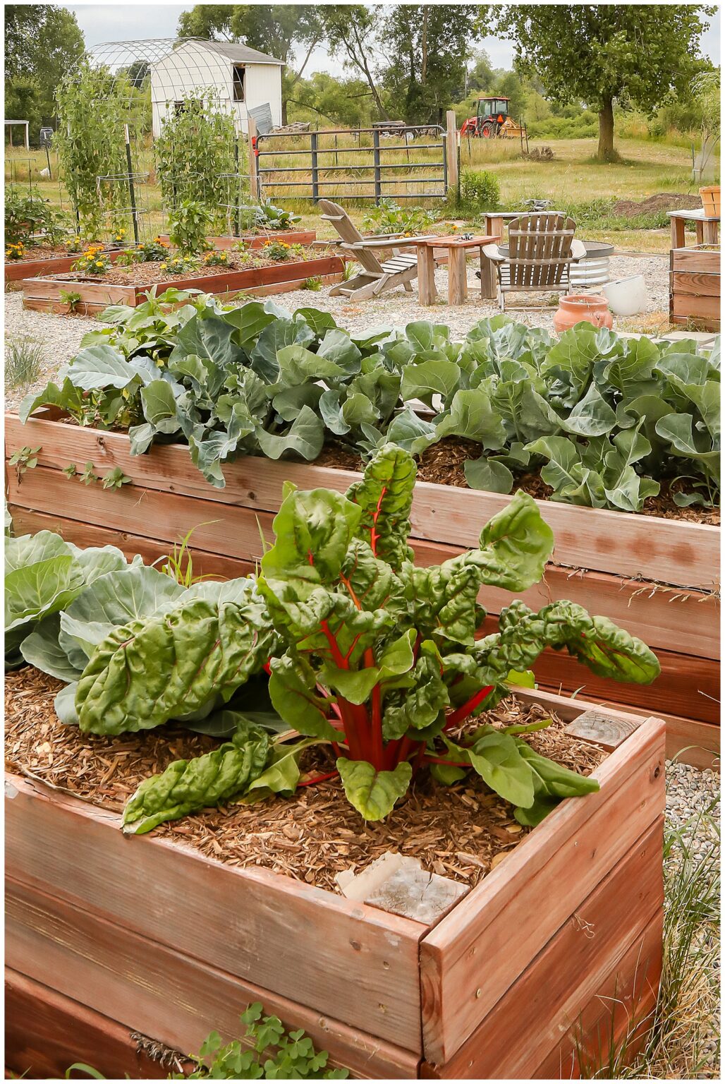 16 Early Spring Vegetables to Grow in the Garden