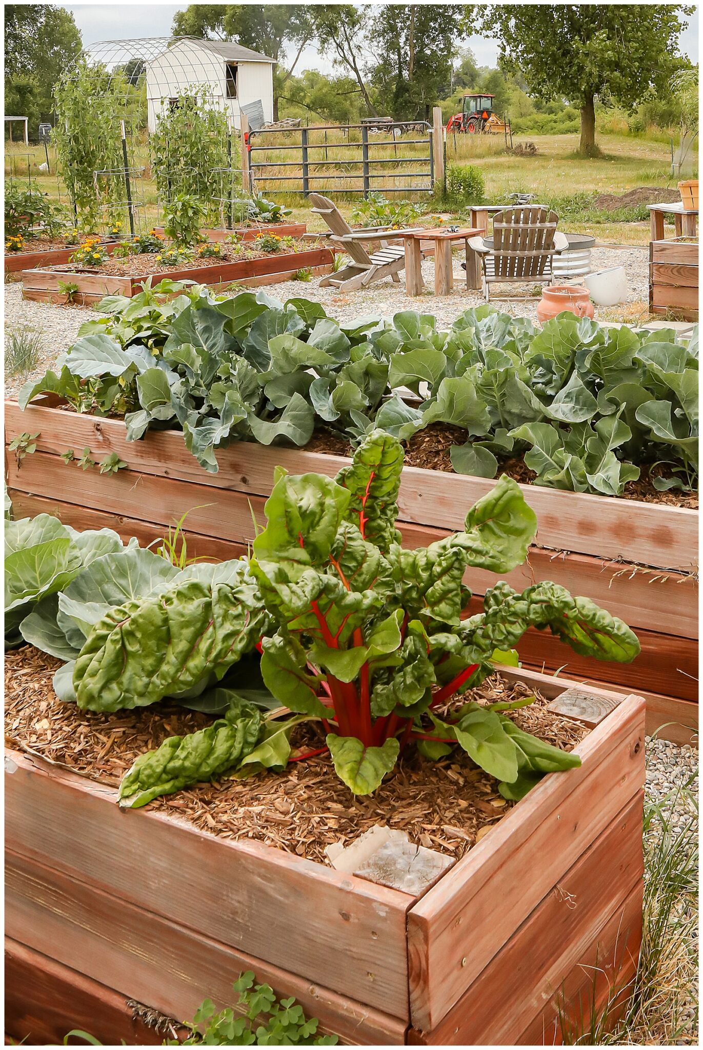 16 Early Spring Vegetables to Grow in the Garden