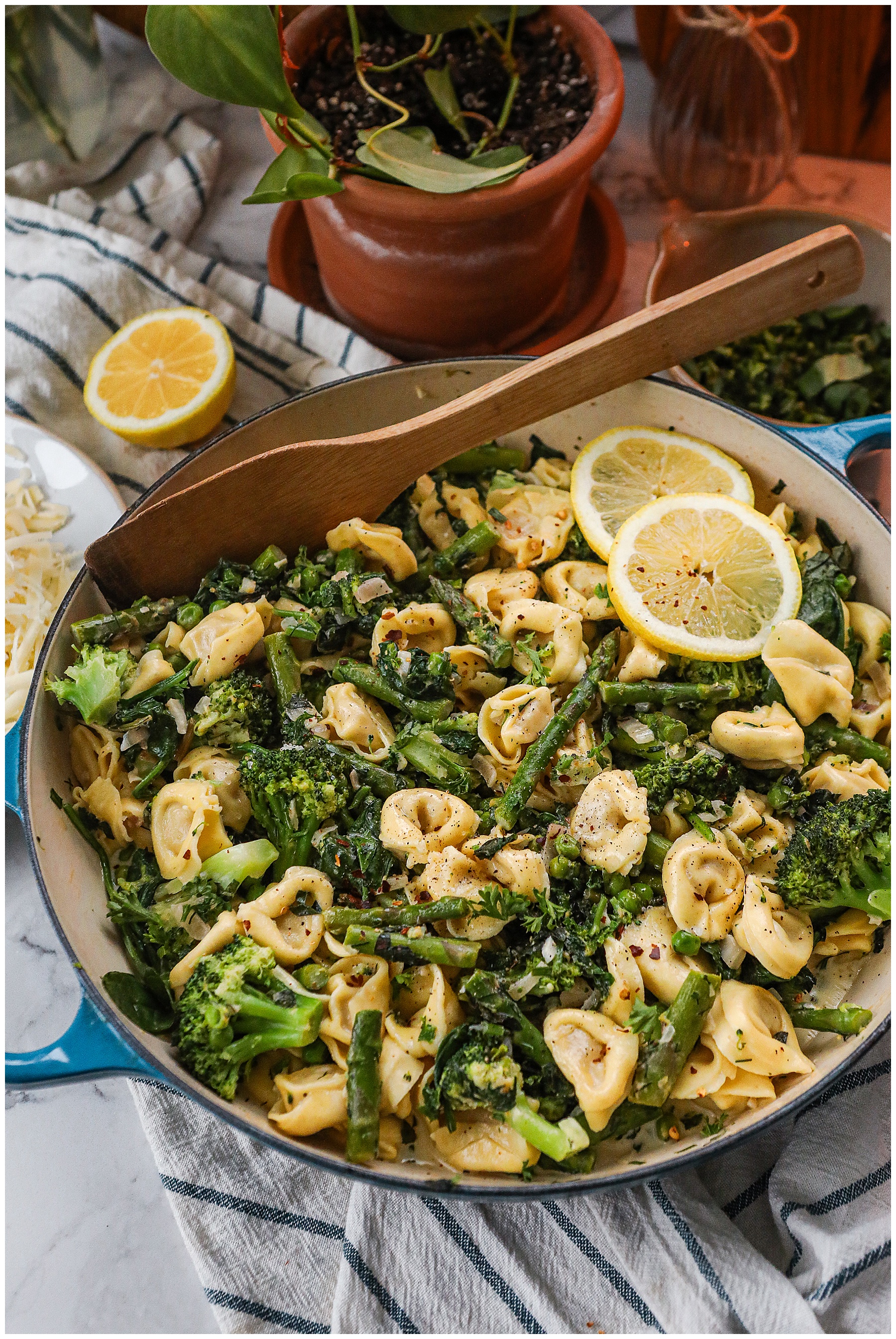 Creamy Spring Vegetable Tortellini Primavera