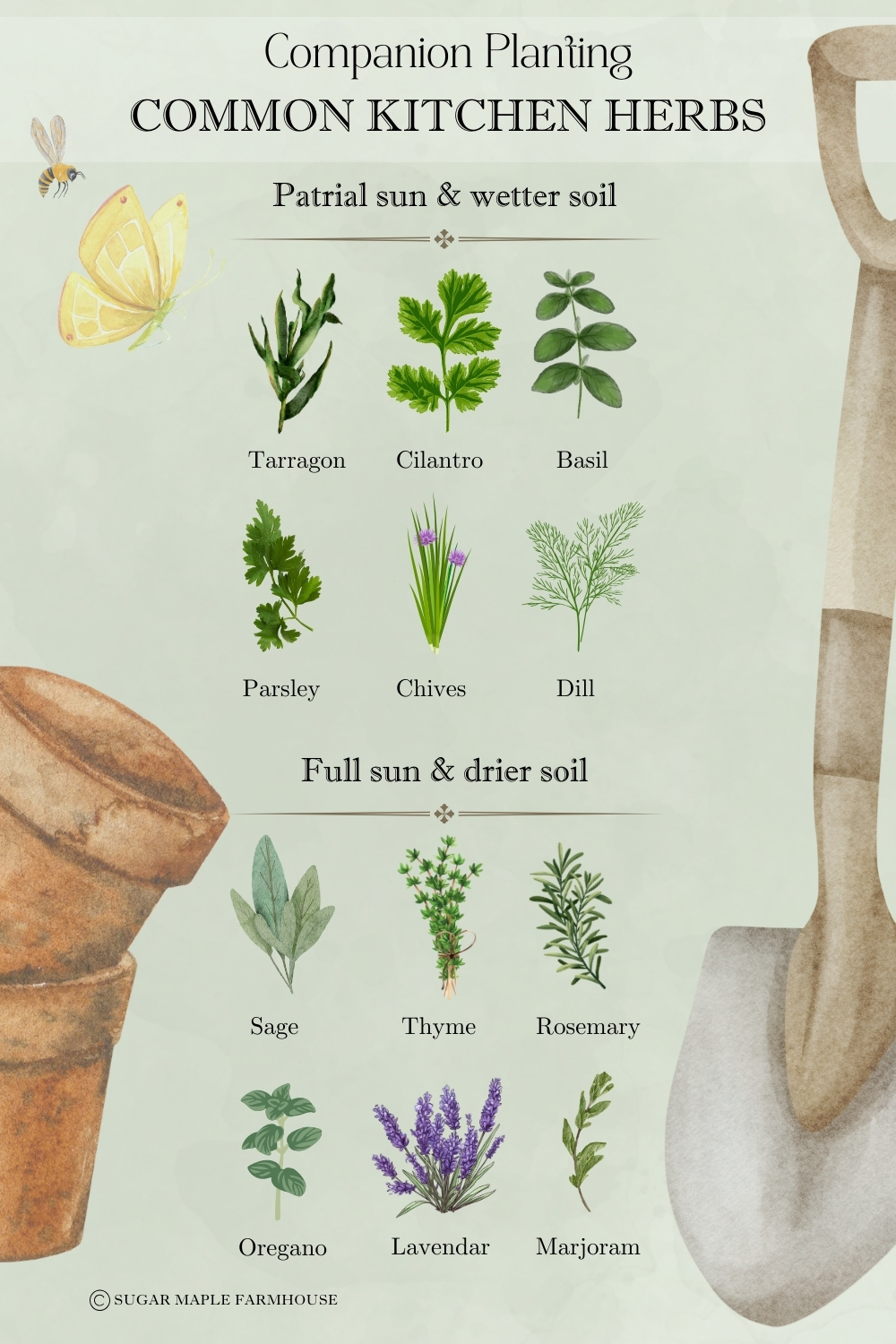 How to Plant an Indoor Kitchen Herb Garden