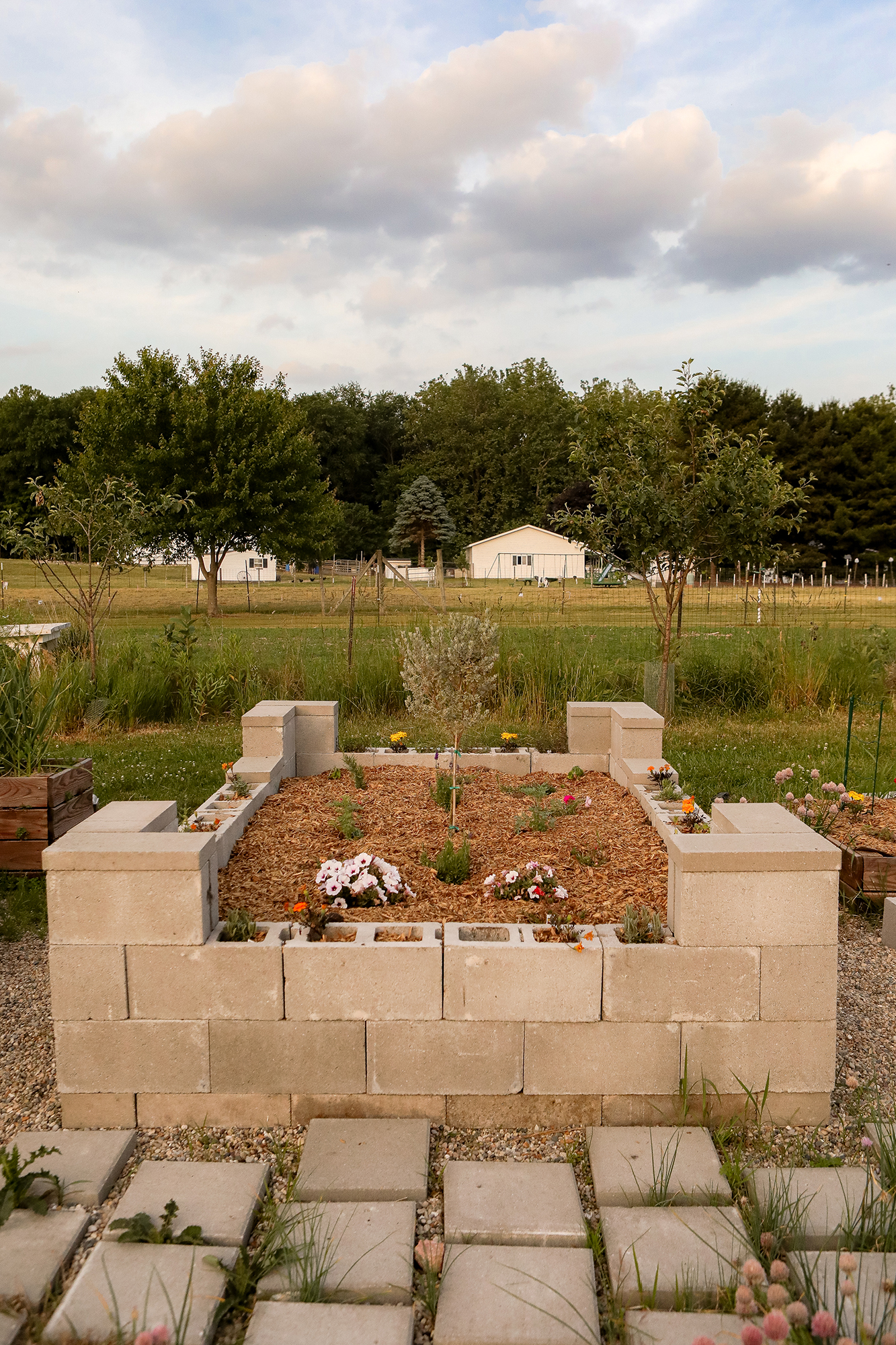 Cement Block Garden Beds Diy Concrete Raised Beds Little Dove Blog