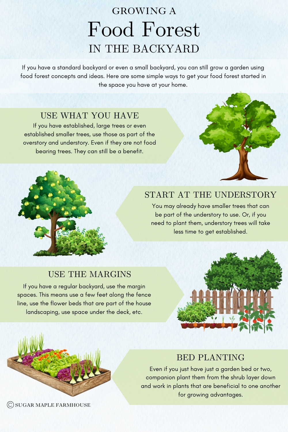 Growing a Food Forest