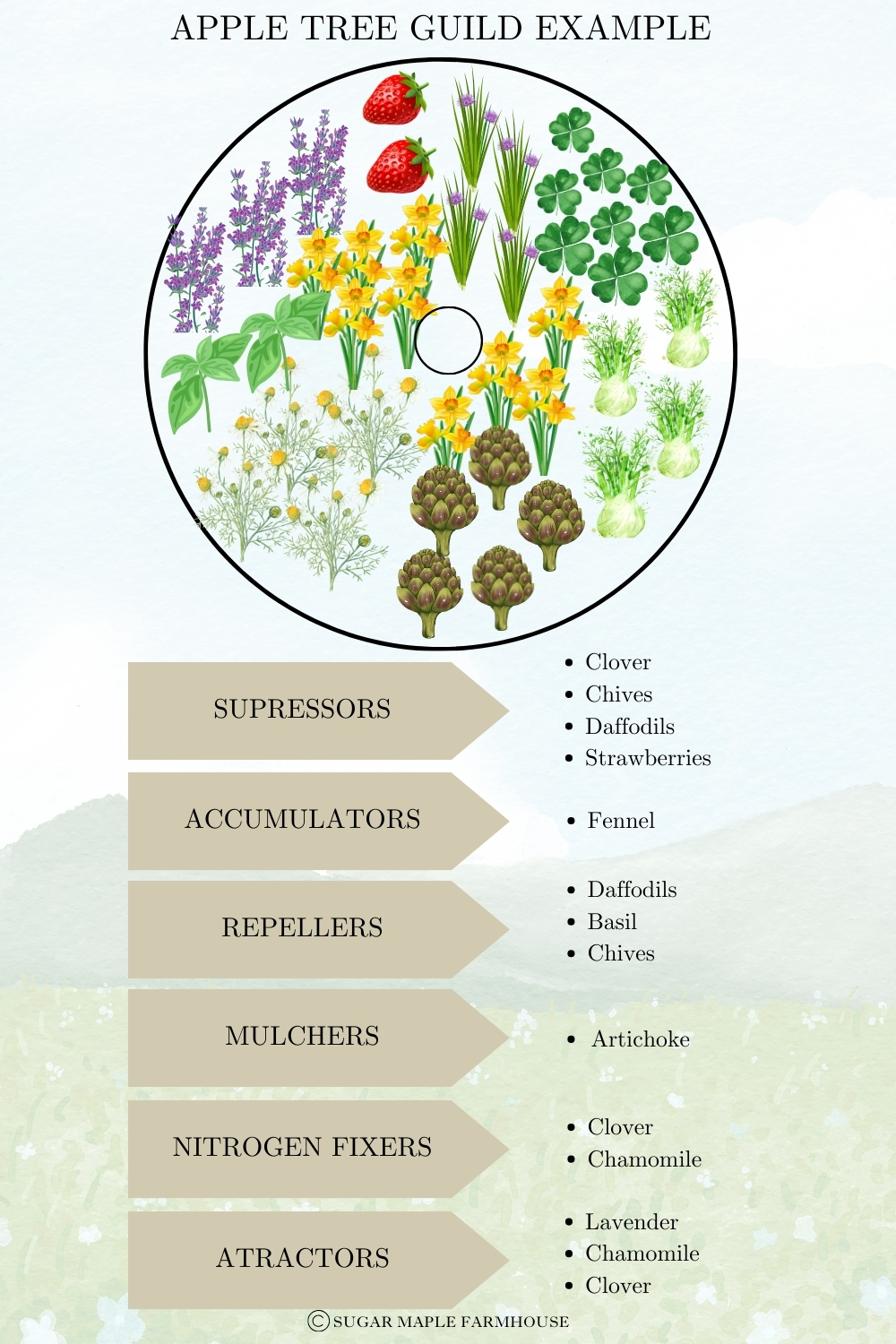 Growing a Food Forest