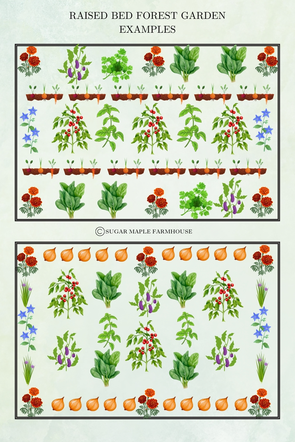 Growing a Food Forest