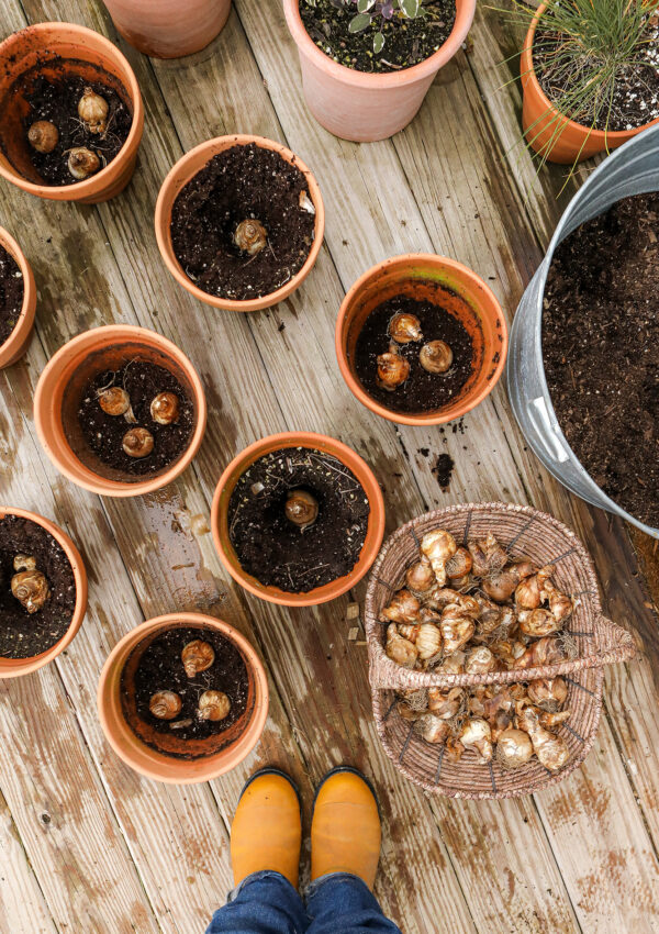 The Best Clothing for Gardening - Sugar Maple Farmhouse