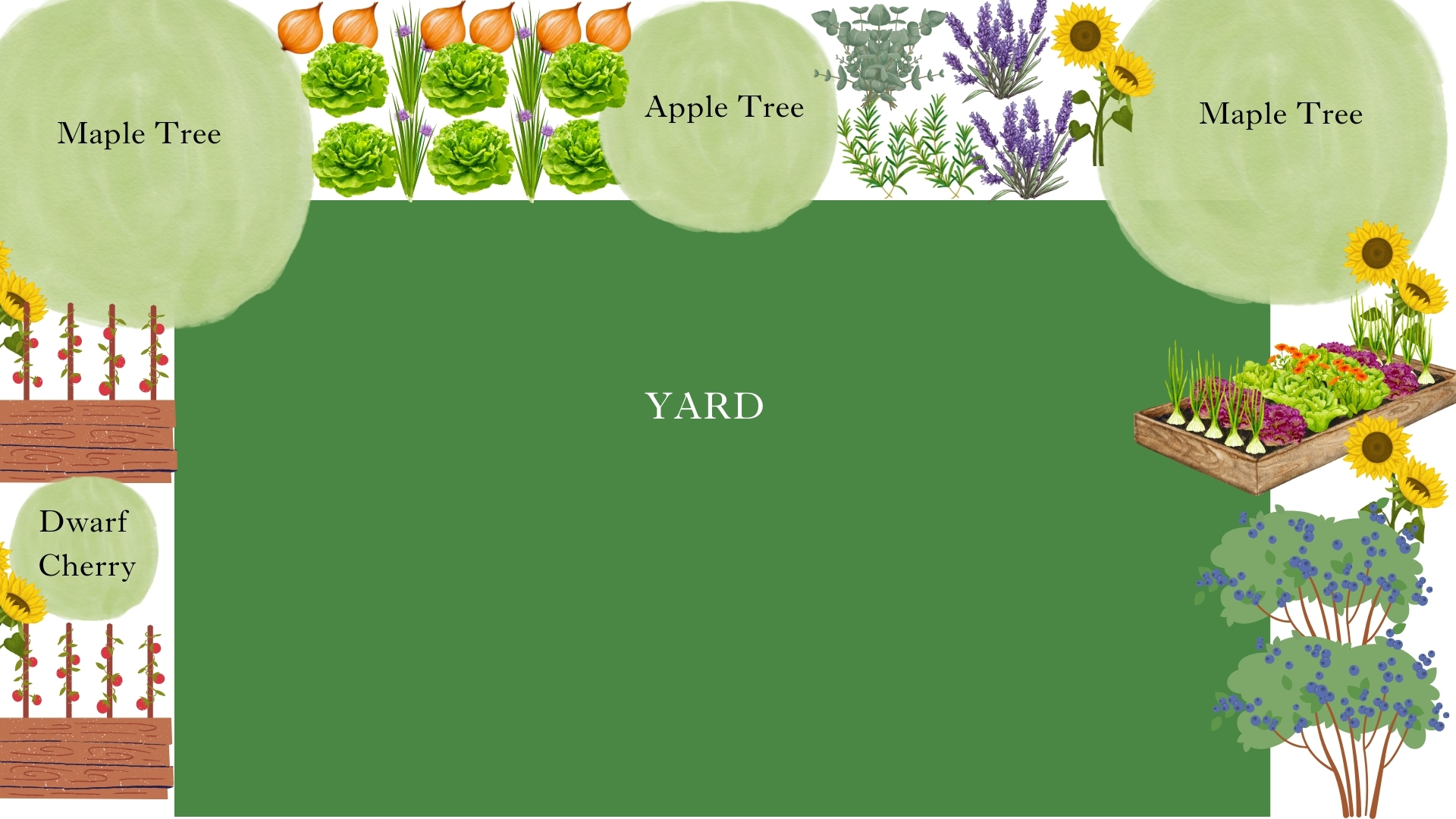 Growing a Food Forest