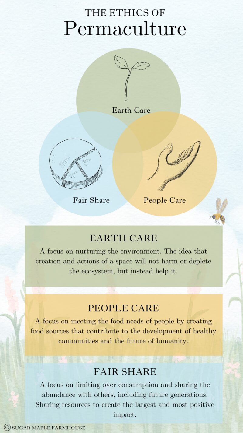 What is permaculture?